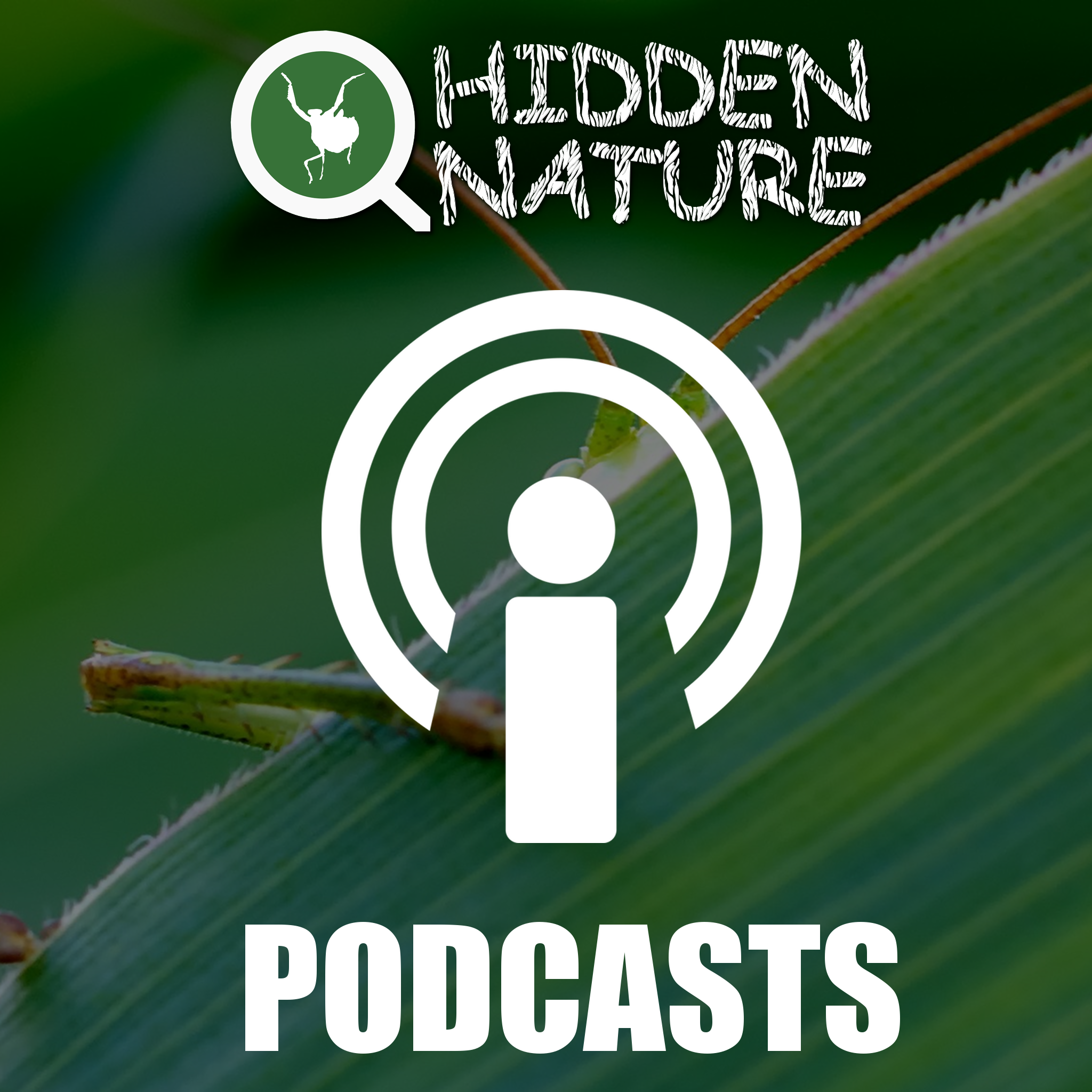 Hidden Nature: Espacio de divulgación científica: Noticias, vídeos ...