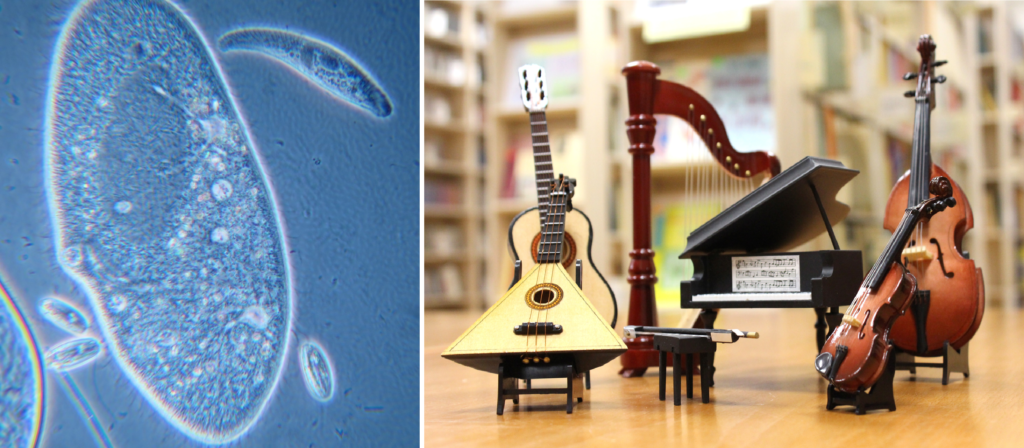 Genética musical: ¿En qué se parece una célula a una orquesta sinfónica ...