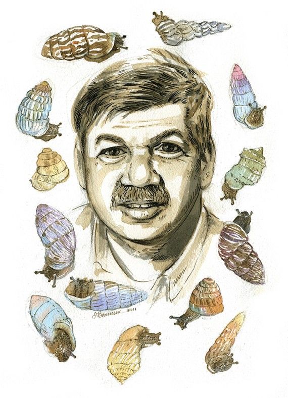 El Gradualismo Y El Equilibrio Puntuado Escuelapedia Equilibrio